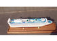 Scale 1：900 Fine Princess Cruise Ship Models , Container Ship Model With ABS Hand Carving supplier