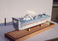 OEM ODM Princess Cruise Ship Models With Injection Mold Making Anchor Material supplier