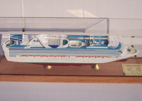 OEM ODM Princess Cruise Ship Models With Injection Mold Making Anchor Material supplier