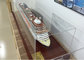Ivory White MSC Splendida Cruise Ship Model Speed Boats With ABS Hand Carving supplier