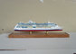 Handcrafted Royal Caribbean Cruise Ship Models Radiance Of The Seas Model , Injection Mold Making supplier