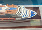 Scale 1:900 Outdoor Decoration Carnival Dream Cruise Ship Model With Alloy Diecast  Anchor Material supplier