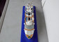 Scale 1:1200 Oasis Of The Seas Royal Caribbean Cruise Ship Models With Engraving Printing Hull Logo Printing supplier